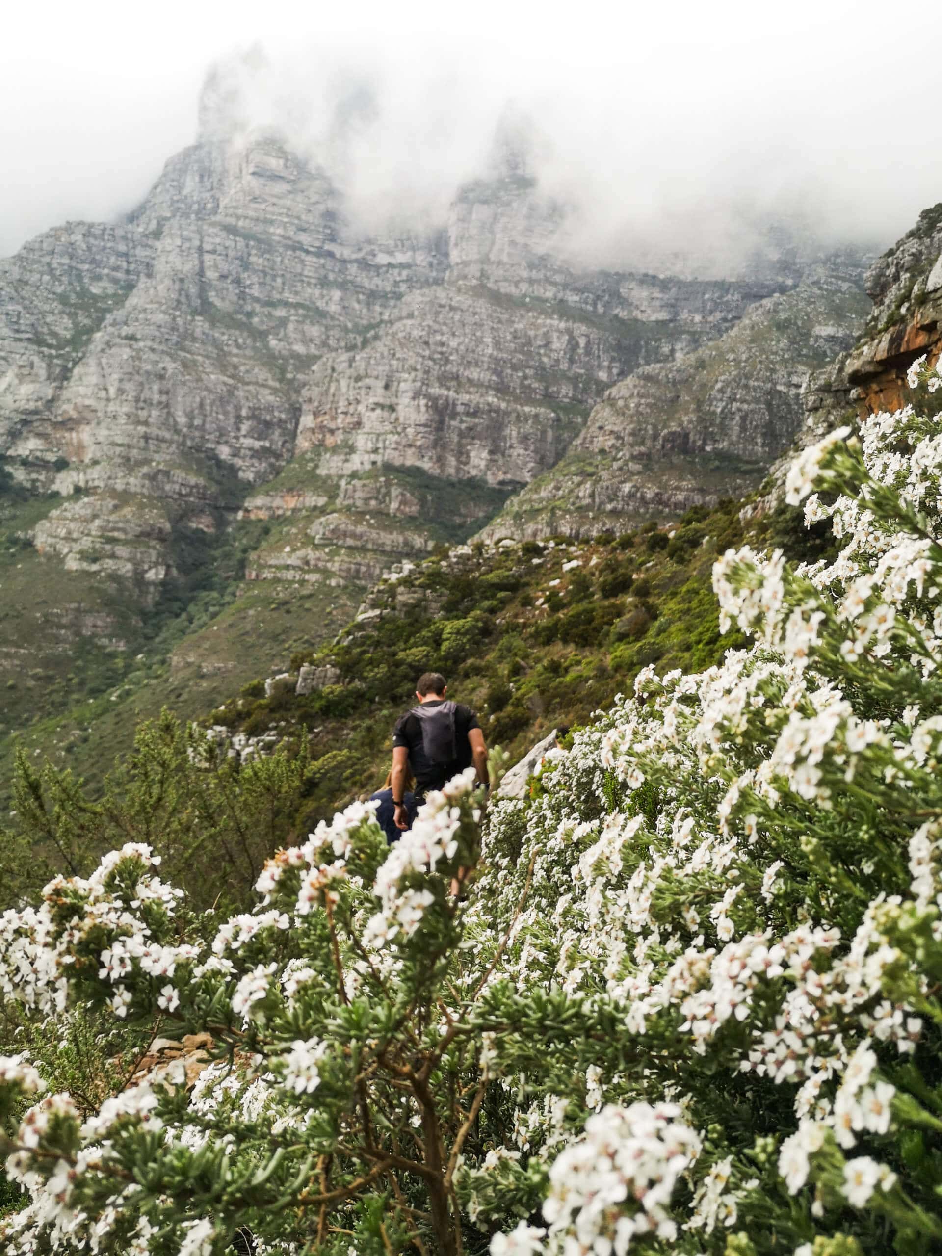 Diagonal Cave Hike - The Happy Traveller