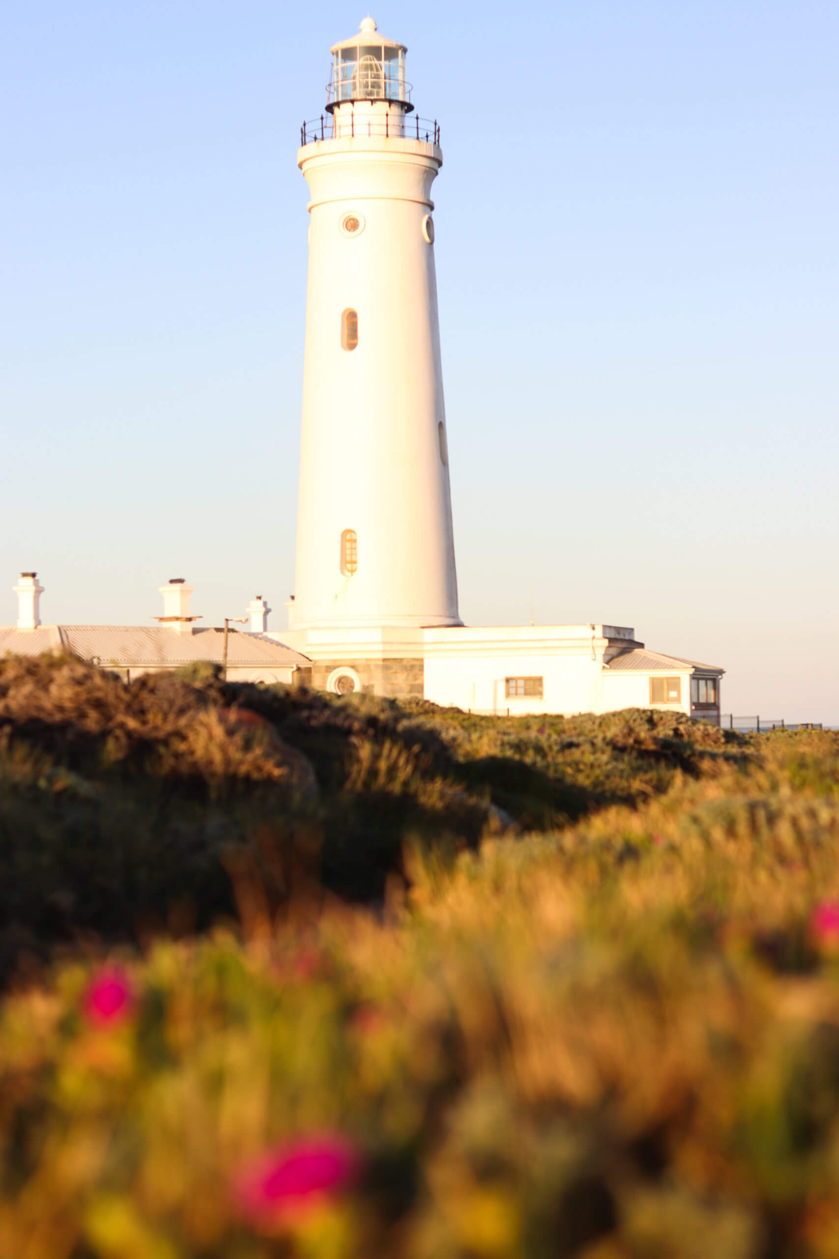 Cape St Francis - The Happy Traveller