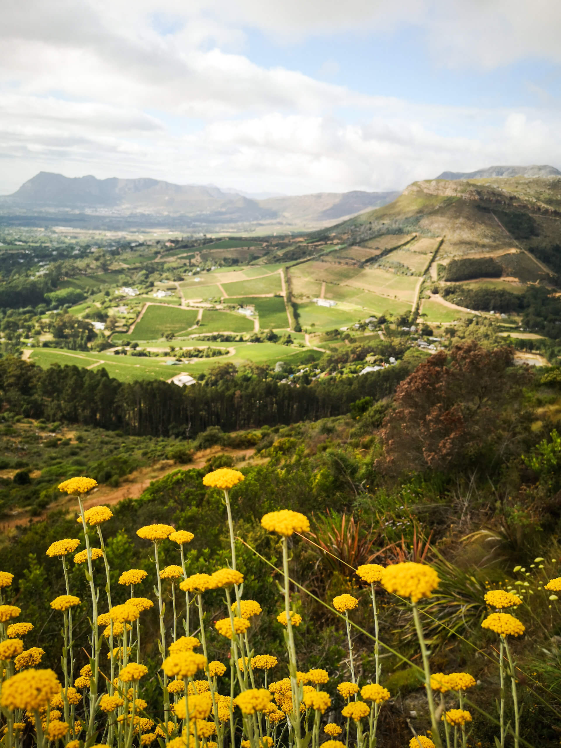 Constantia Nek, Table Mountain Hike - The Happy Traveller